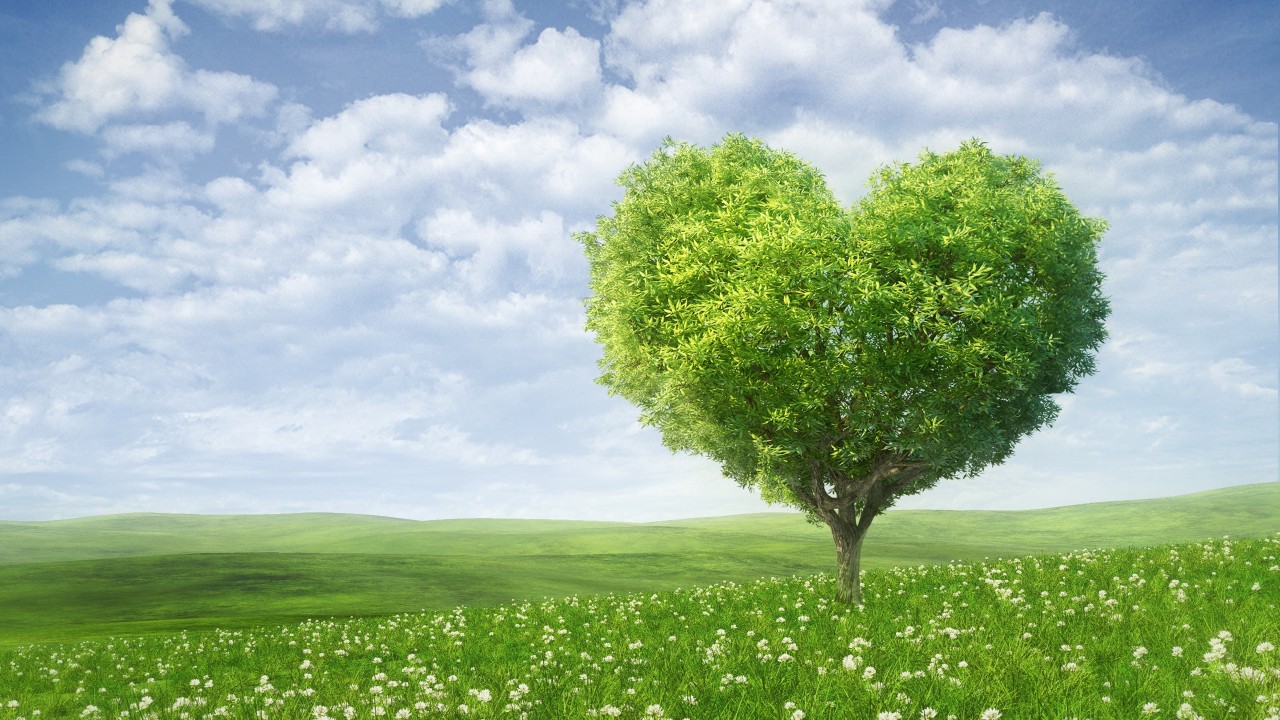 How to enjoy an environment-friendly green Valentine’s Day
