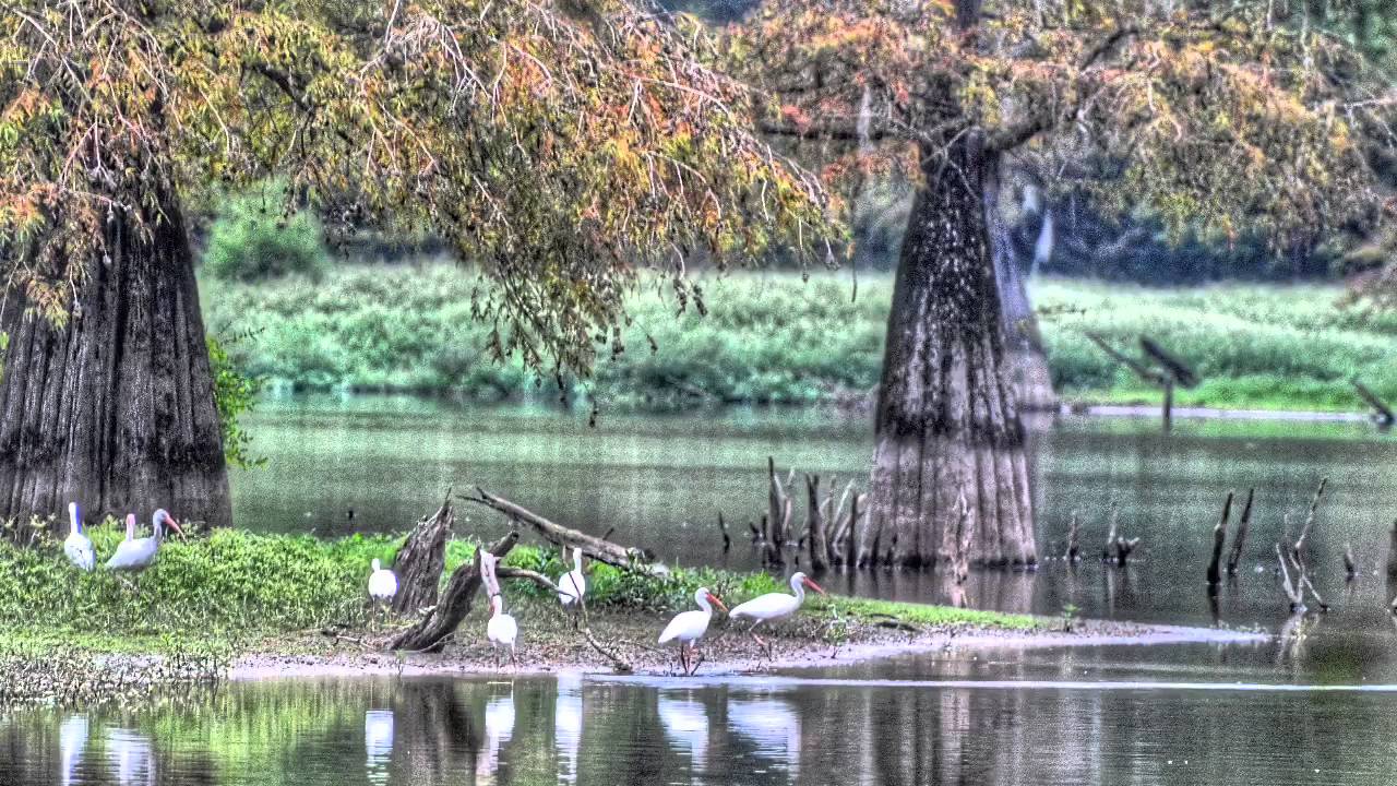 A Poetic Tribute to the Mighty Pascagoula: The Mississippi's Singing River